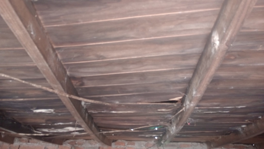 Campana Noticias | Con 40° y sólo la ayuda de la gente, Pablo ...