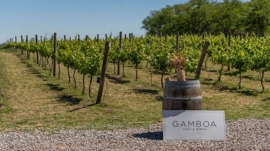 Campana Noticias | “Entre viñas y lomadas”: invitan a disfrutar de una ...